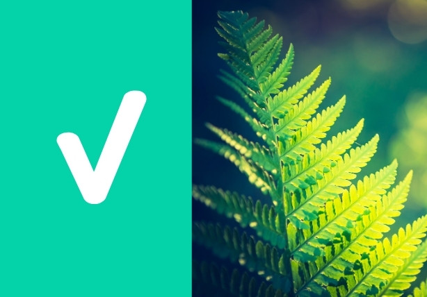 Garantir la connectivité à Peppol grâce au Basware Network